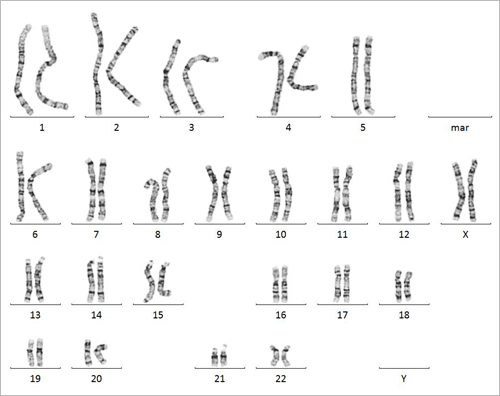 Praxis für Humangenetik, 10117 Berlin-Mitte